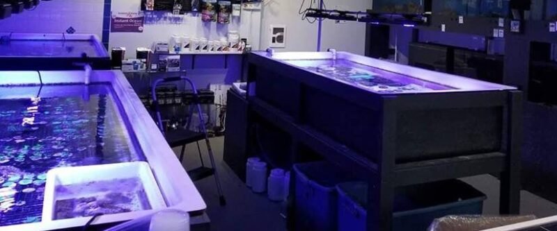 About - The Reef Farm